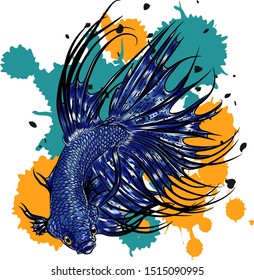 Tropical Fish Color Graphic Portrait Fighting Stock Vector (Royalty ...