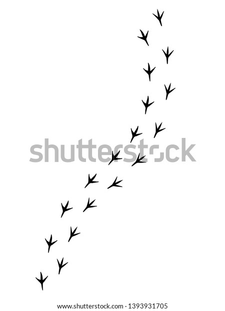966 Chicken Feet Pattern Stock Vectors, Images & Vector Art | Shutterstock