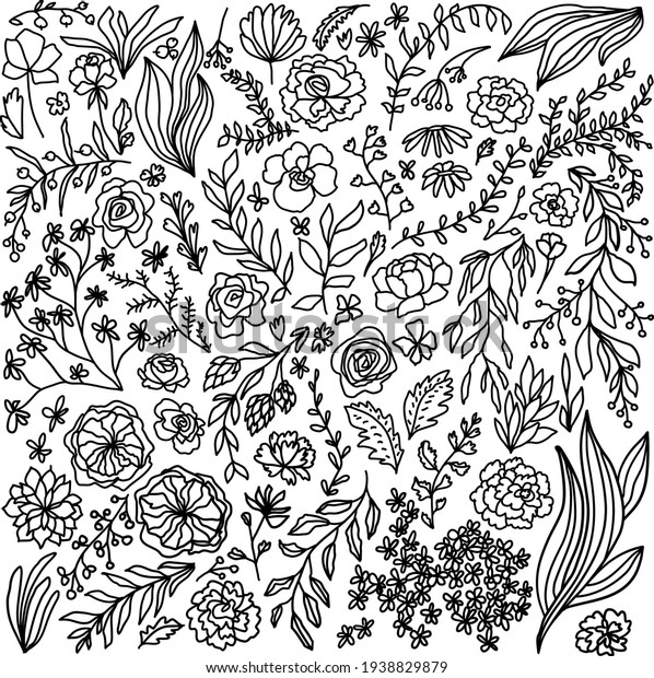 Vector Black Line Art Flowers Leaves Stock Vector (Royalty Free ...