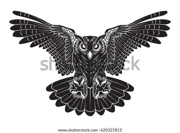 1.757 Attacking owl: immagini, foto stock e grafica vettoriale ...