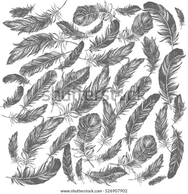 Vector Black White Feather Pattern Stock Vector (Royalty Free ...