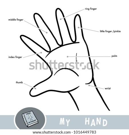 Cartoon Middle Finger Pictures | Free download on ClipArtMag