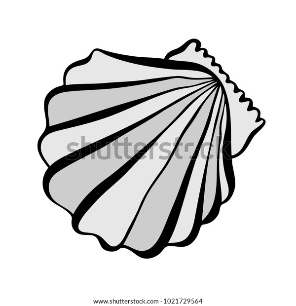 Vector Black White Illustration Seashells Stock Vector (Royalty Free ...