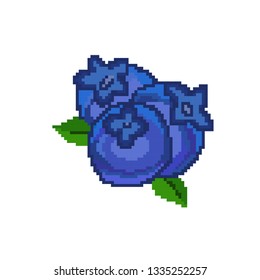 261 Pixel blueberry Images, Stock Photos & Vectors | Shutterstock