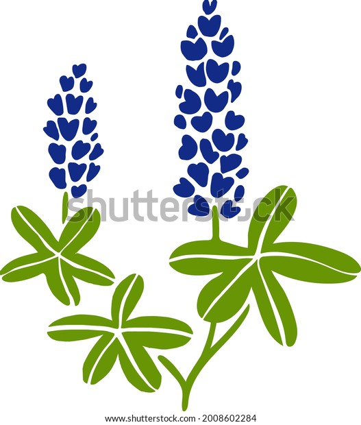Vector Bluebonnet Flower Flat Illustration Texas Stock Vector (Royalty ...