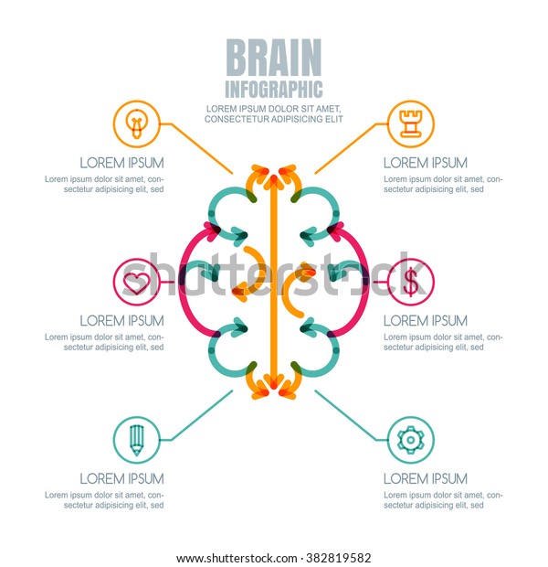 Vector Brain Infographics Design Icons Set Stock Vector (Royalty Free ...