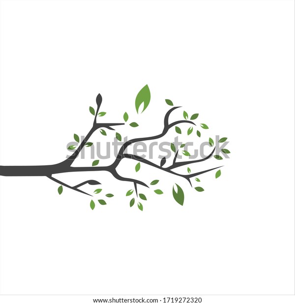 Vector Branch Hand Drawn Illustration Tree Stock Vector (Royalty Free ...