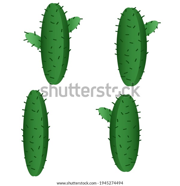 Vector Cactus Dark Green Color Little Stock Vector (Royalty Free ...