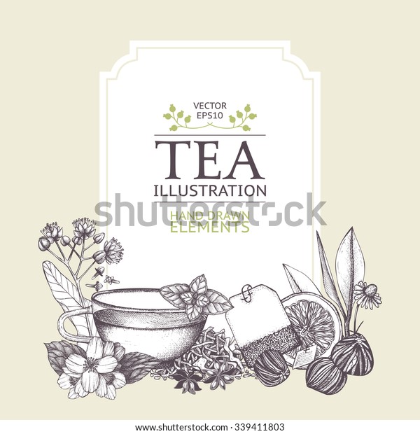 Vector Card Design Hand Drawn Tea Stock Vector (Royalty Free) 339411803