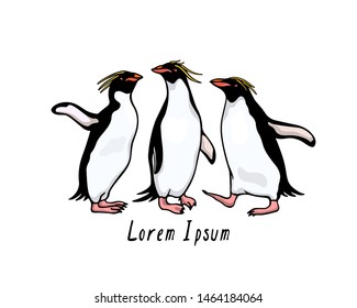 Vector Card Hand Drawn Cute Macaroni: vector de stock (libre de ...