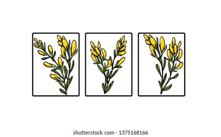 231 Dyer Symbol Images, Stock Photos & Vectors | Shutterstock