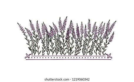 Vector Card Hand Drawn Heather Twigs Stock Vector (Royalty Free ...