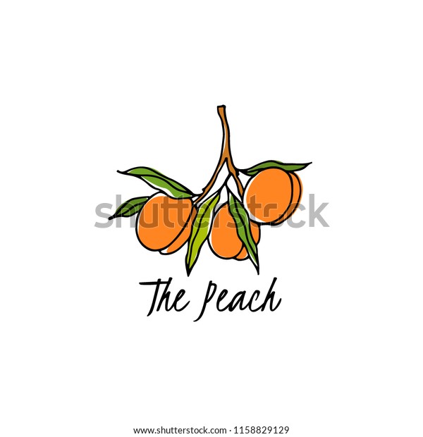 Vector Card Hand Drawn Peach Tree Stock Vector (Royalty Free) 1158829129