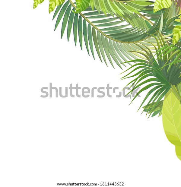 Vector Cartoon Corner Clip Art Tropical Stock Vector (Royalty Free ...