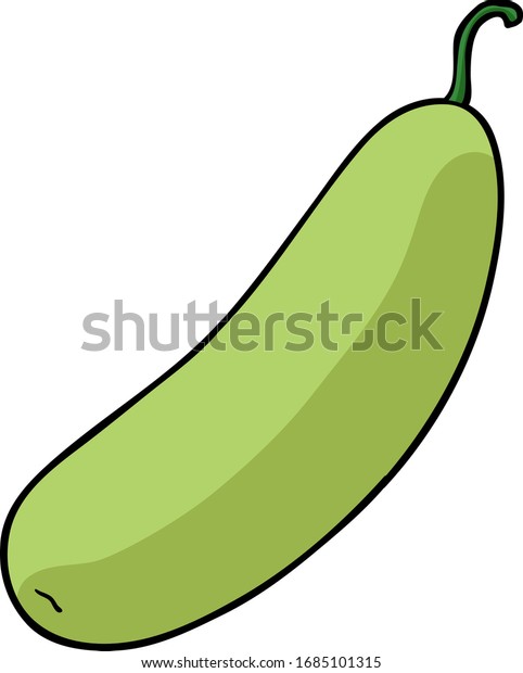 Vector Cartoon Fresh Bottle Gourd Vegetable Stock Vector (Royalty Free ...