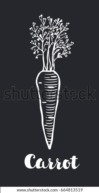 Vector Cartoon Illustration Broccoli Silhouette Outline Stock Vector ...