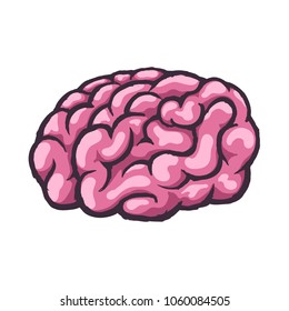 Vector Cartoon Illustration Human Brain Stock Vector (Royalty Free ...