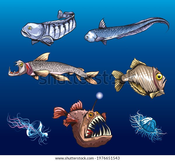 Vector Cartoon Illustration Some Deepsea Fish: เวกเตอร์สต็อก (ปลอดค่า ...