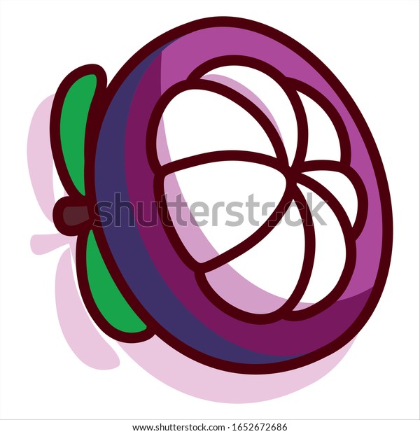 Vector Cartoon Mangosteen Open Stem Isolated Stock Vector (Royalty Free ...