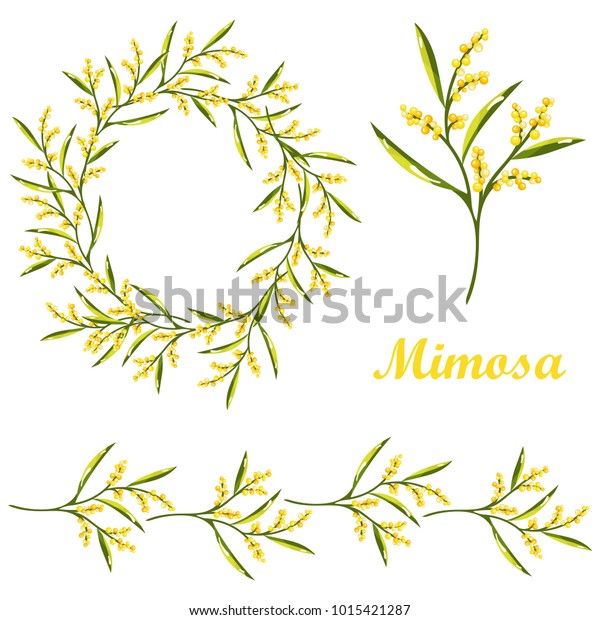 Vector Cartoon Mimosa Spring Flower Illustration Stok Vektör (Telifsiz ...