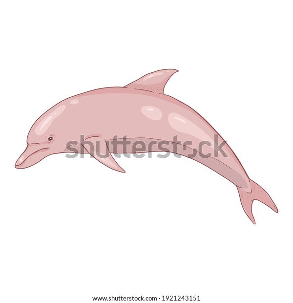 Vector Cartoon Pink Dolphin Illustration On Stock Vector (Royalty Free ...