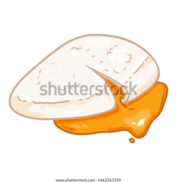Vector Cartoon Poached Egg Illustration Stock Vector (Royalty Free ...