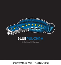 Vector Channa Blue Pulchra Snakehead Cartoon Stock Vector (Royalty Free ...