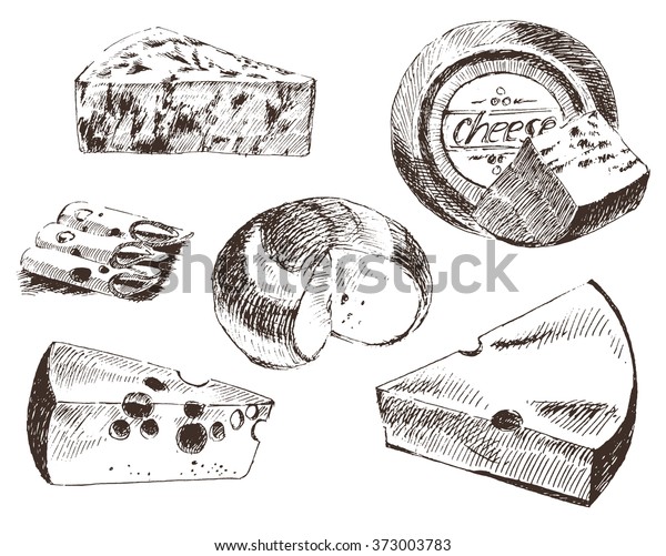 Vector Cheese Sketch Drawing Designer Template Stock Vector (Royalty ...