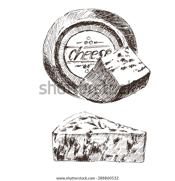 Vector Cheese Sketch Drawing Gouda Blue: เวกเตอร์สต็อก (ปลอดค่า ...