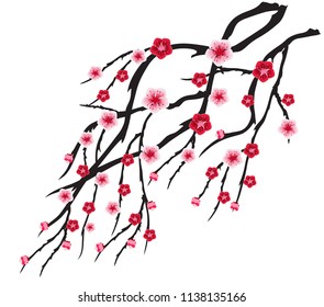 Vector Cherry Blossom Chinese New Year Stock Vector (Royalty Free ...