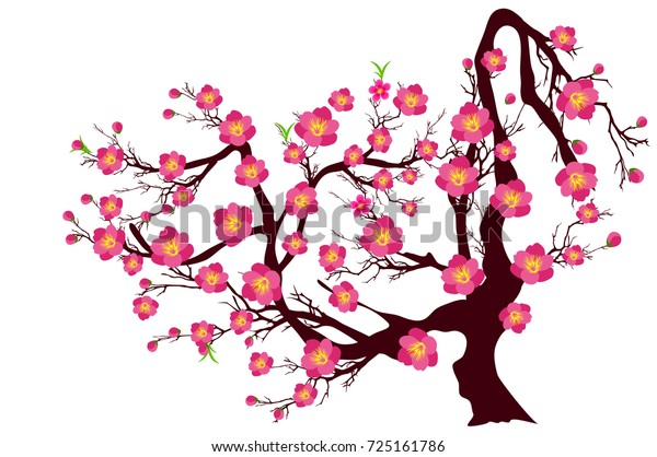 Vector Cherry Blossom Chinese New Year Stock Vector (Royalty Free ...