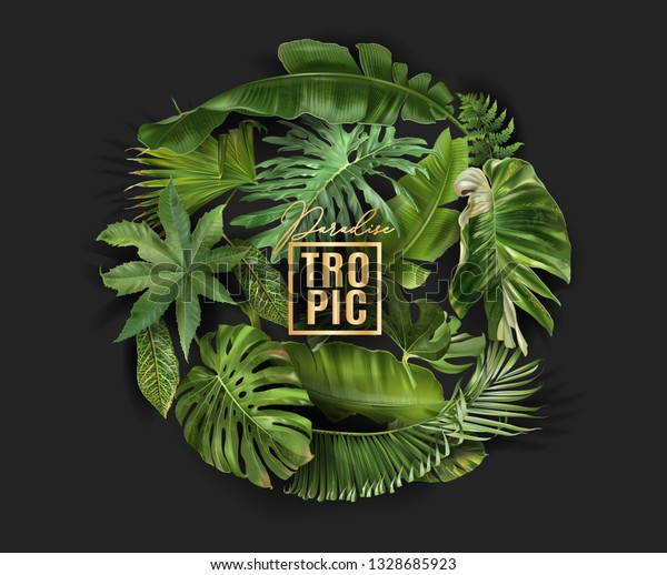Vector Circle Banner Green Tropical Leaves Stock Vector (Royalty Free ...