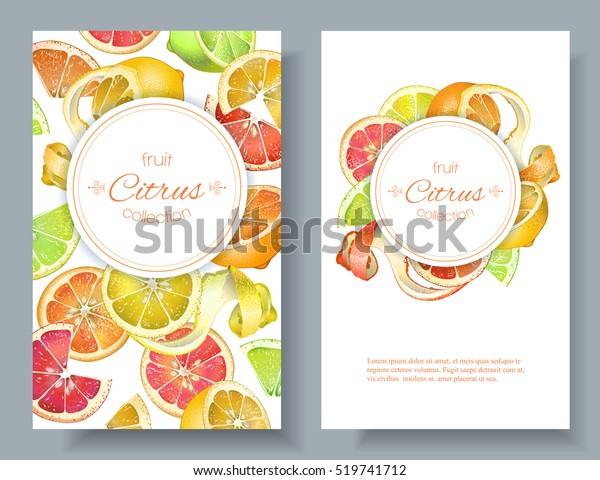Vector Citrus Vertical Banners Design Juice Stock Vector (Royalty Free ...