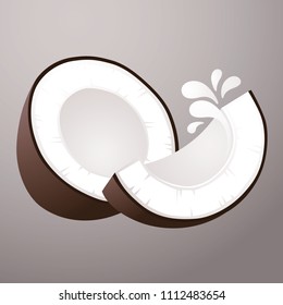 Vector Coconut Milk Illustration Stock Vector (Royalty Free) 1112483654 ...
