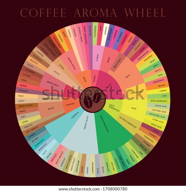 Vector Coffee Tasting Aroma Wheel Stock Vector (Royalty Free) 1708000780