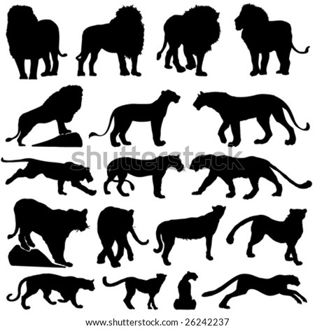 Vector Collection Big Cat Silhouettes Stock Vector (Royalty Free ...