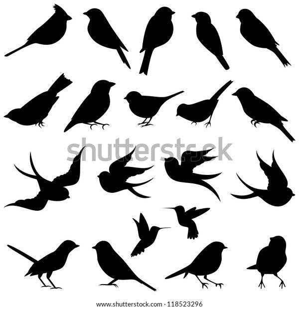 245,016 Bird Sitting Branch Images, Stock Photos & Vectors | Shutterstock
