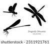 Dragonfly Royalty-Free Images, Stock Photos & Pictures | Shutterstock