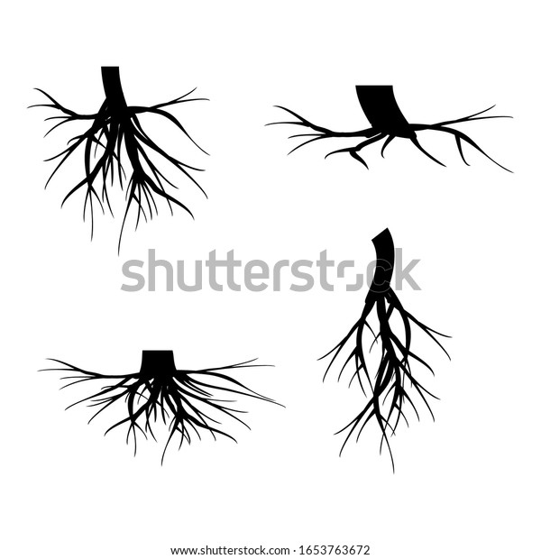 Vector Collection Tree Roots Underground Plants Stock Vector (Royalty ...