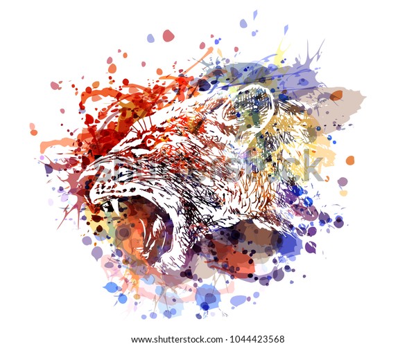 Vector Color Illustration Lioness Head Stock Vector (Royalty Free ...