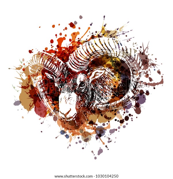 Vector Color Illustration Mouflon Head Stock Vector (Royalty Free ...