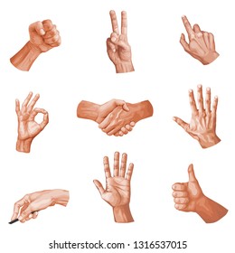 Vector Color Illustration Set Human Hand Stock Vector (Royalty Free ...