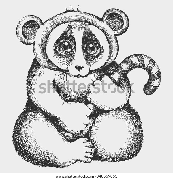 Vector Color Illustration Slow Loris Hat Stock Vector (Royalty Free ...
