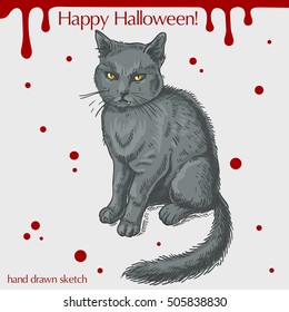 779 imágenes de Cat blood collection - Imágenes, fotos y vectores de ...