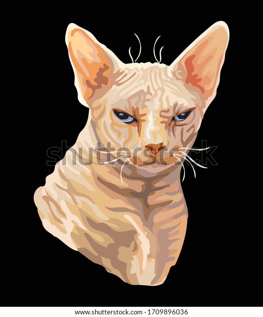 Vector Colorful Drawing Portrait Angry Sphinx Stock Vector (Royalty ...