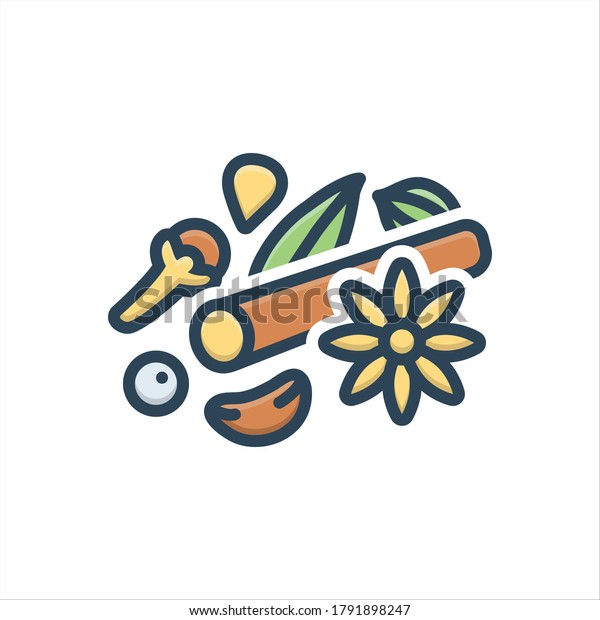 Vector Colorful Illustration Icon Garam Masala Stock Vector (Royalty ...