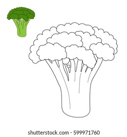 Vector Coloring Page Kids Broccoli Stock Vector (Royalty Free ...