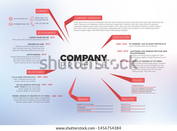 Vector Company Infographic Overview Design Template Stock Vector ...