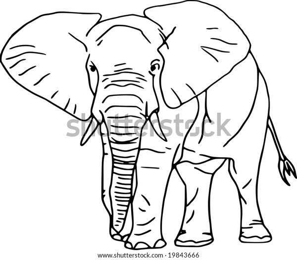 Vector Contour Elephant Isolated On White Stock Vector (Royalty Free ...