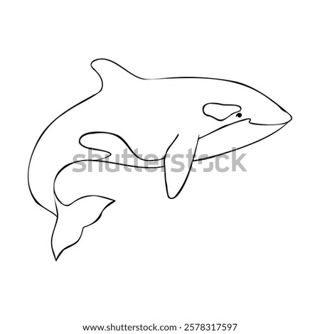 Killer Whale Outline Drawing | Free download on ClipArtMag